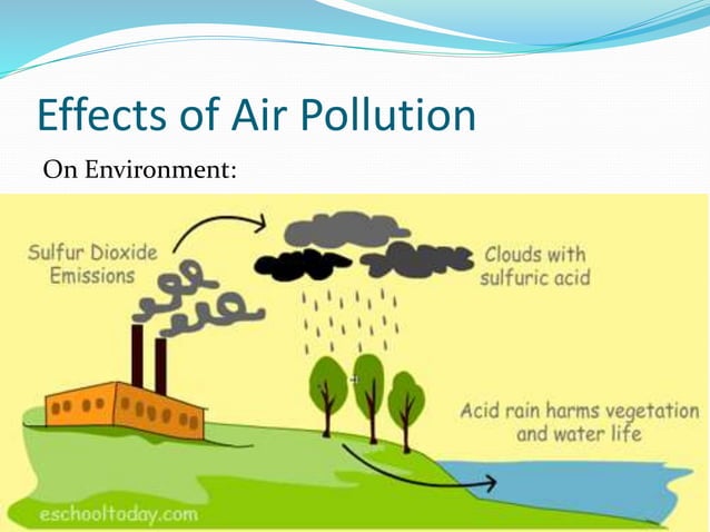 Environmental basic presentation | PPT