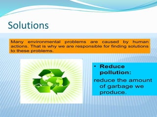 Environmental basic presentation | PPT