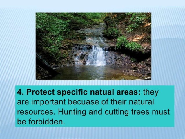 Environmental basic presentation | PPT