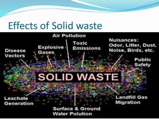 Environmental basic presentation | PPT