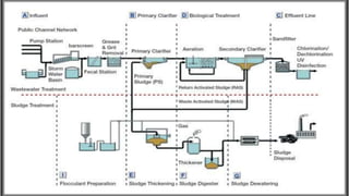 Industrial effluents and Wastewater Treatment | PPTX