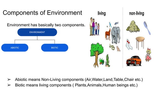 Presentation on Introduction of Environmental Science | PPT