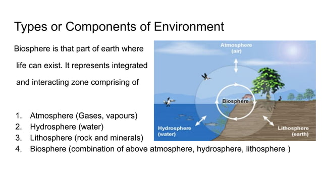 Presentation on Introduction of Environmental Science | PPT