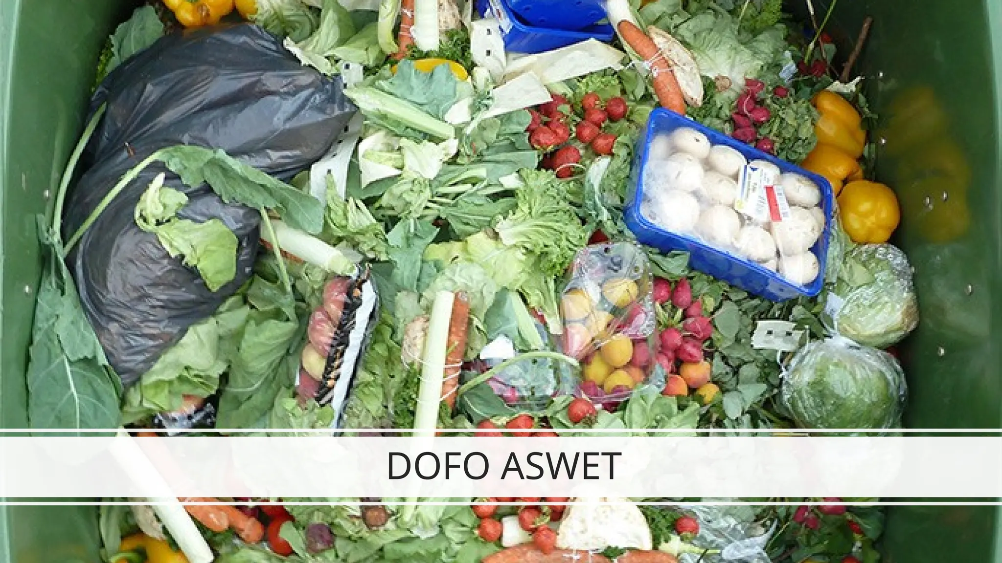 ENVIRONMENTAL PROBLEMS in the world and how to deal | PPT