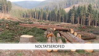 ENVIRONMENTAL PROBLEMS in the world and how to deal | PPT