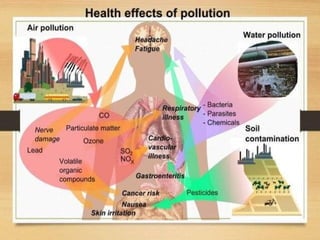 Environmental Problems in the Philippines | PPTX