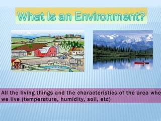 Environmental problems and solutions | PPT