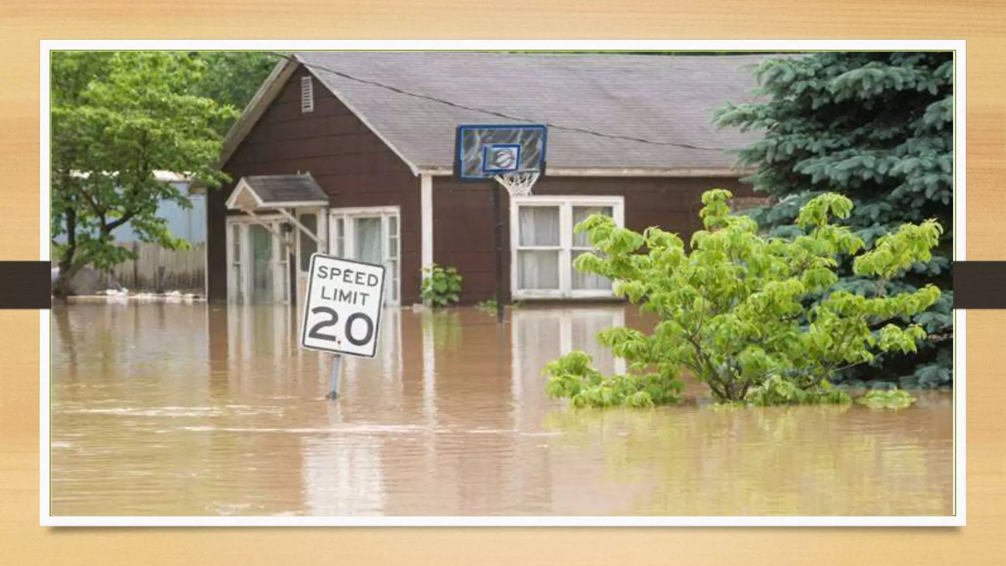 ENVIRONMENTAL PROBLEMS IN THE PHILIPPINES.pptx