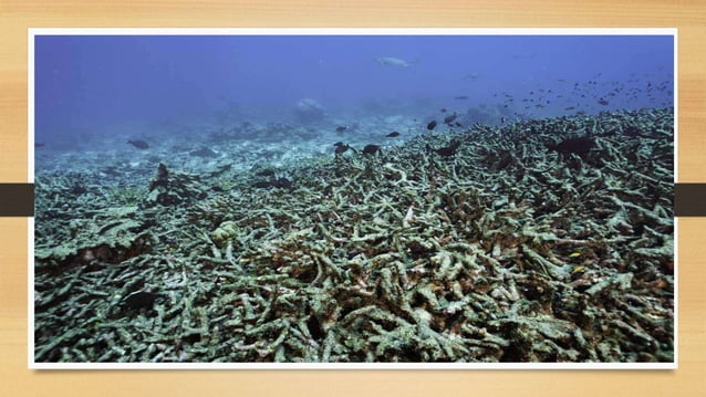 ENVIRONMENTAL PROBLEMS IN THE PHILIPPINES.pptx