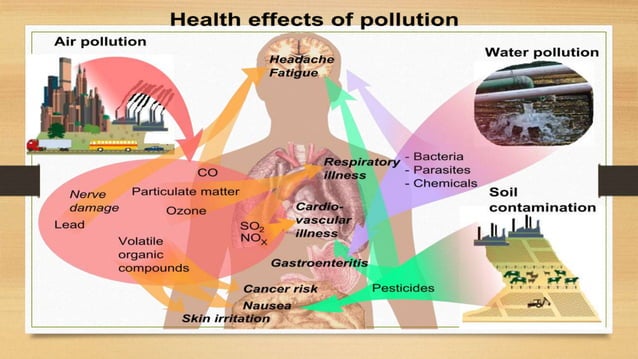 ENVIRONMENTAL PROBLEMS IN THE PHILIPPINES.pptx