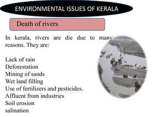 Environmental problems of kerala | PPTX