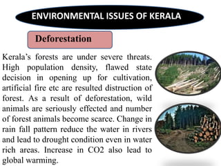 Environmental problems of kerala | PPTX