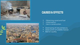 Environmental problems of Pakistan.pptx