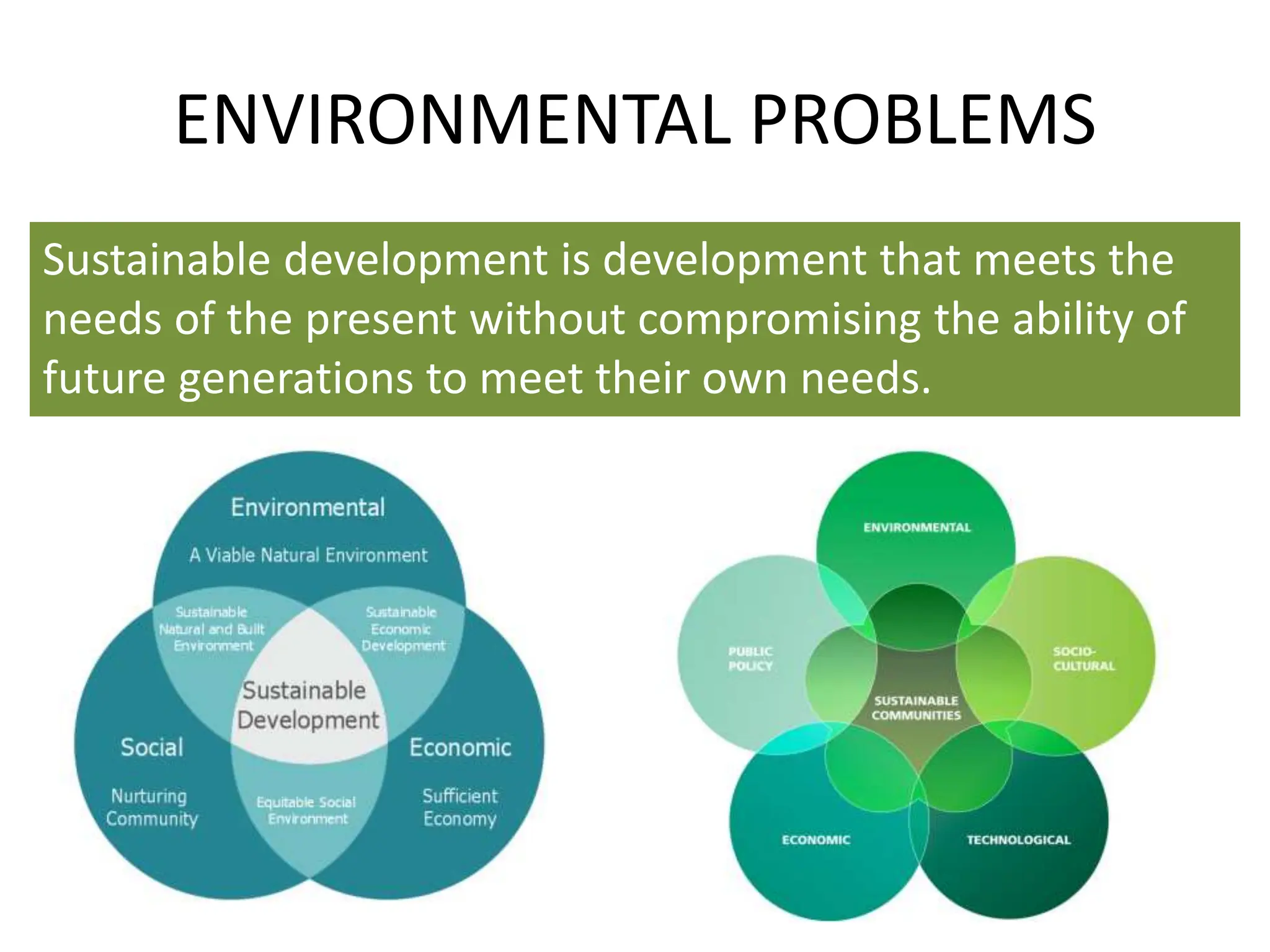 Environmental Problems Presentation.pptx