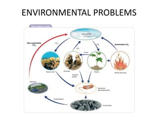 Environmental Problems Presentation.pptx