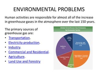 Environmental Problems Presentation.pptx