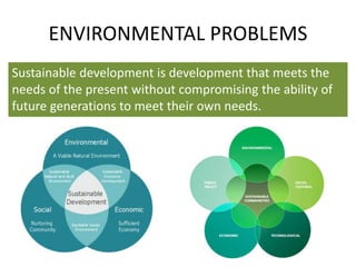 Environmental Problems Presentation.pptx