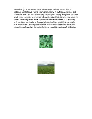 Environmental project f | PDF