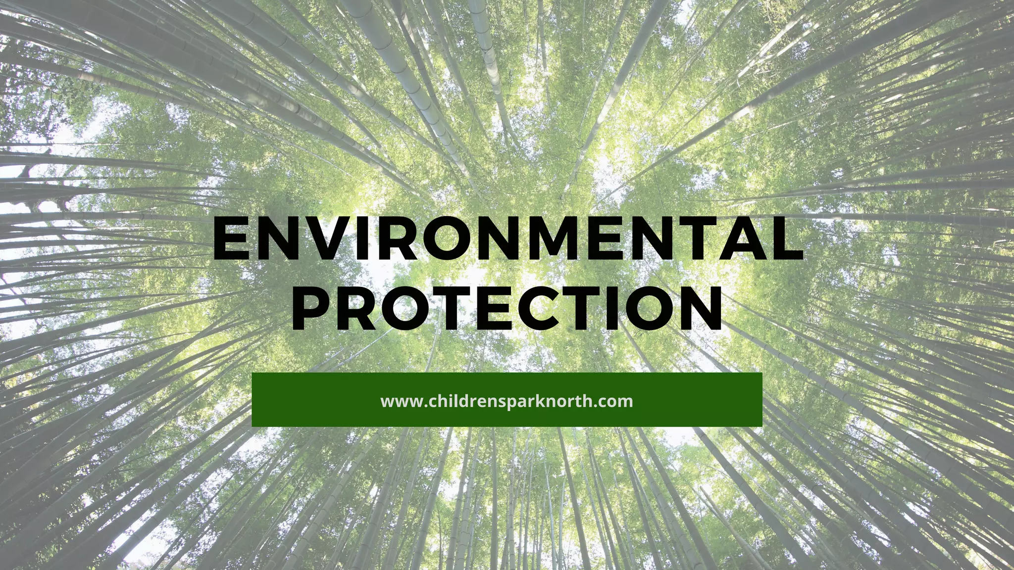 Environmental protection | PDF