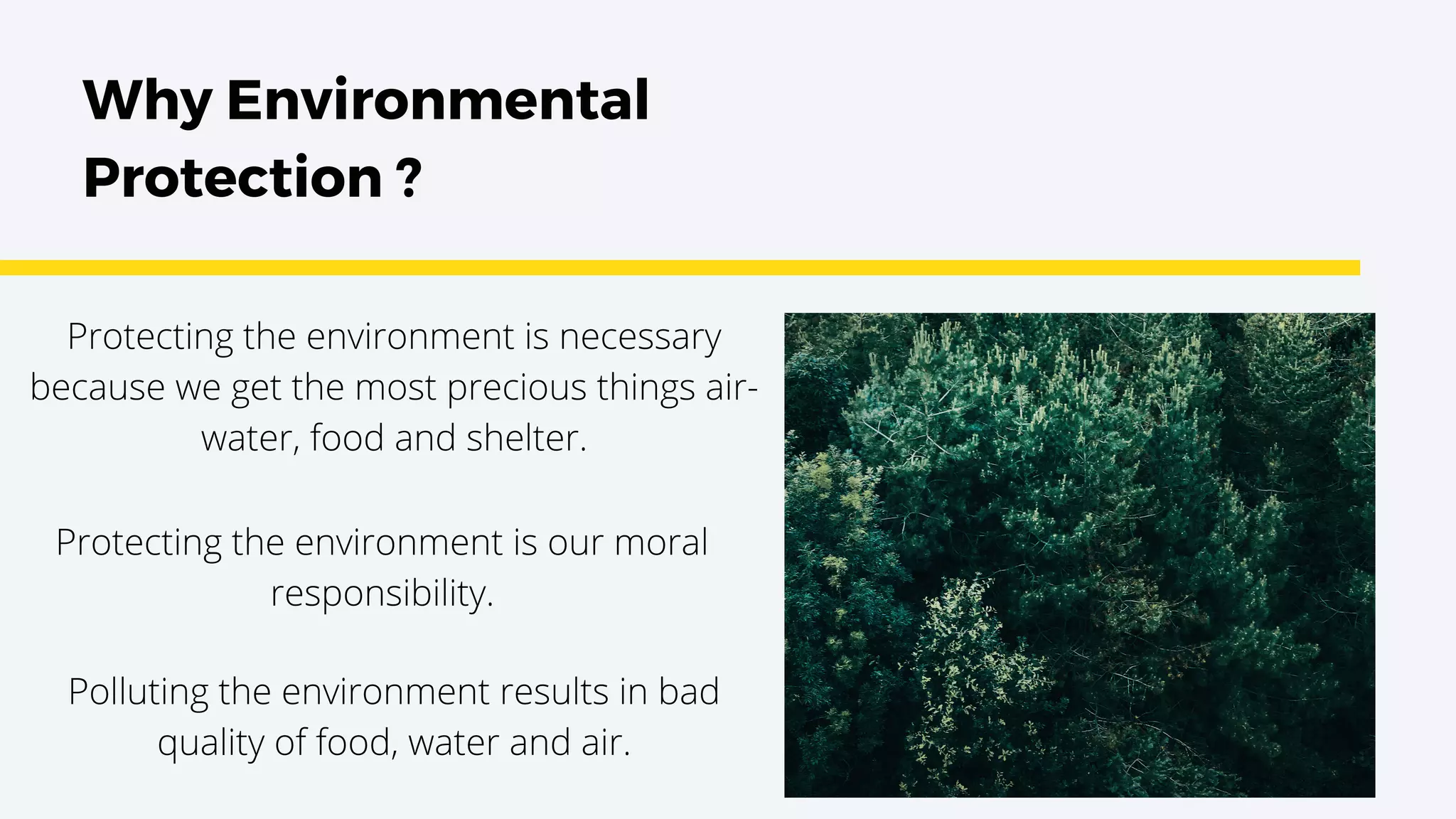 Environmental protection | PDF