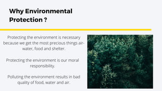 Environmental protection | PDF