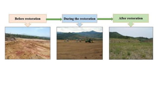Environmental Protection and Rehabilitation Plan Slide.pptx