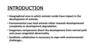 Environmental regulation in normal development of animals by mutaib ...