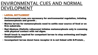 Environmental regulation in normal development of animals by mutaib ...