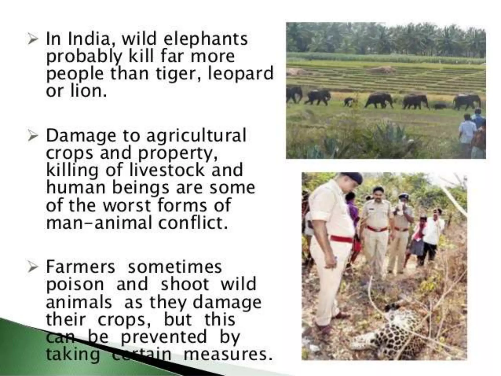 Hotspot of Biodiversity | PPT