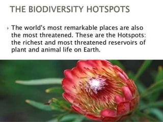 Hotspot of Biodiversity | PPT