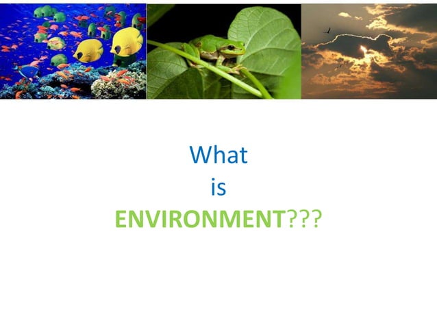 Environmental responsibilities | PPTX