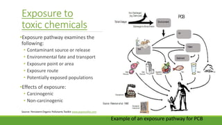 Environmental_Risk_Assessment_Presentation.pdf