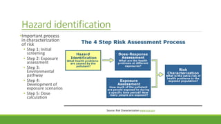 Environmental_Risk_Assessment_Presentation.pdf