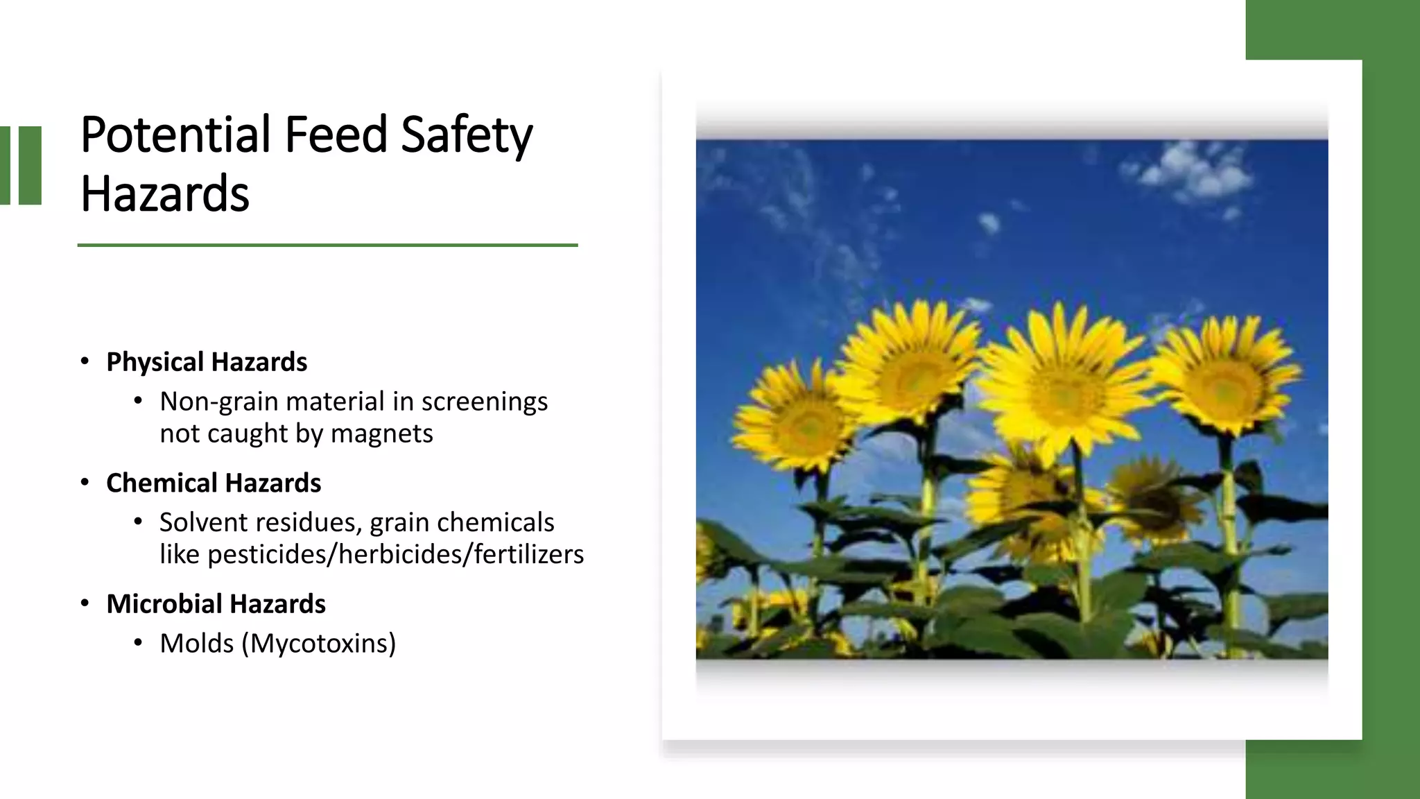 Environmental scanning report.pptx