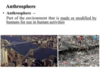 Environmental Science | PPTX