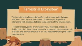 ENVIRONMENTAL SCIENCE- Echological niche, homeostasis in the ecosystem ...