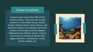 ENVIRONMENTAL SCIENCE- Echological niche, homeostasis in the ecosystem ...