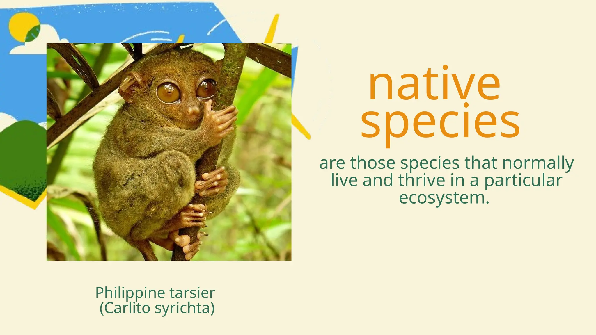 Environmental Science Biodiversity and Evolution.pptx