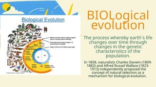 Environmental Science Biodiversity and Evolution.pptx
