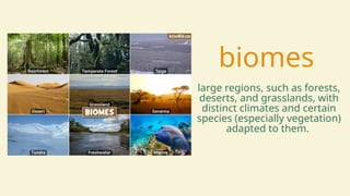 Environmental Science Biodiversity and Evolution.pptx