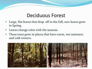 Environmental science engineering | PPTX