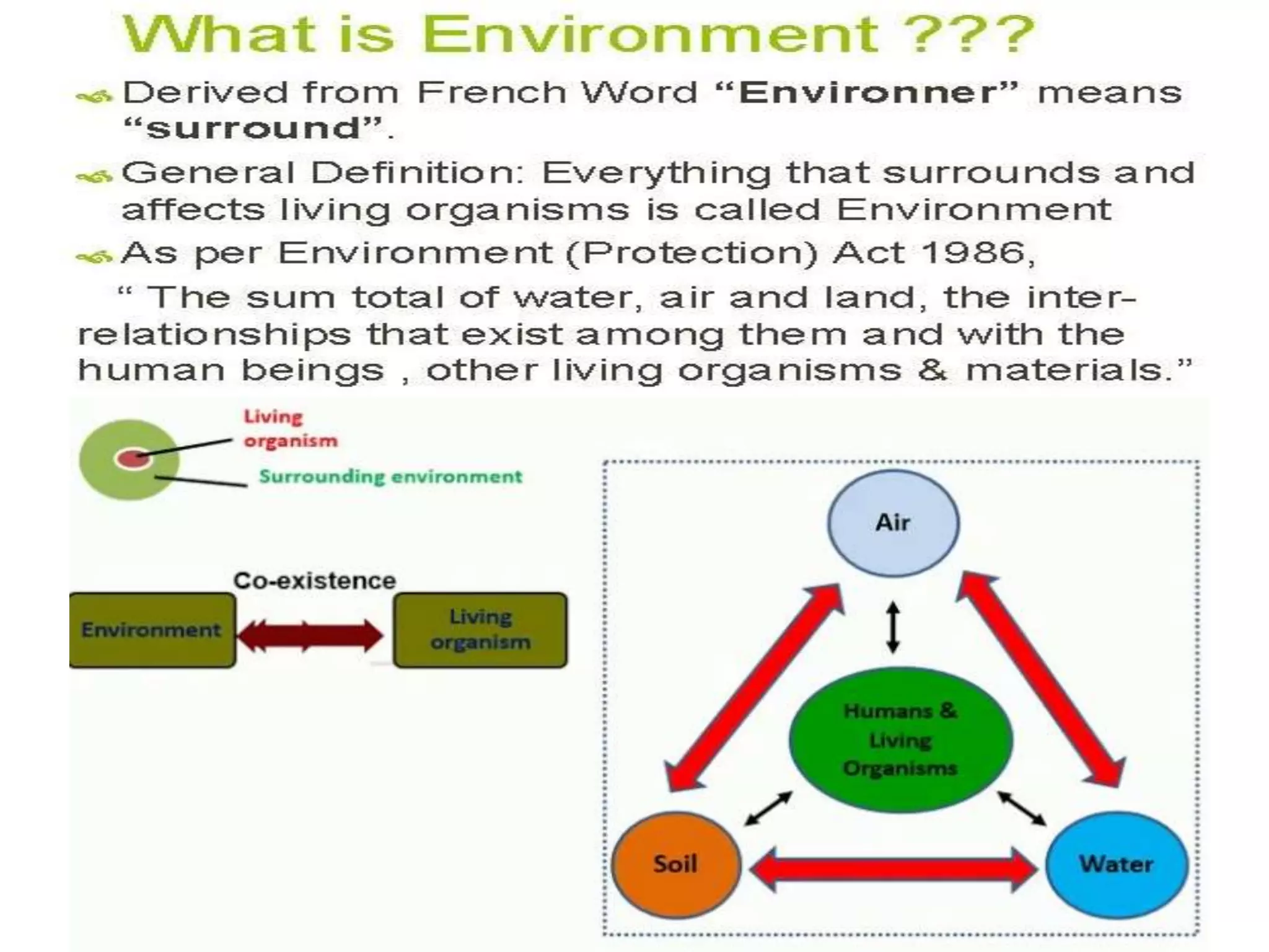 Environmental science introduction class | PPTX
