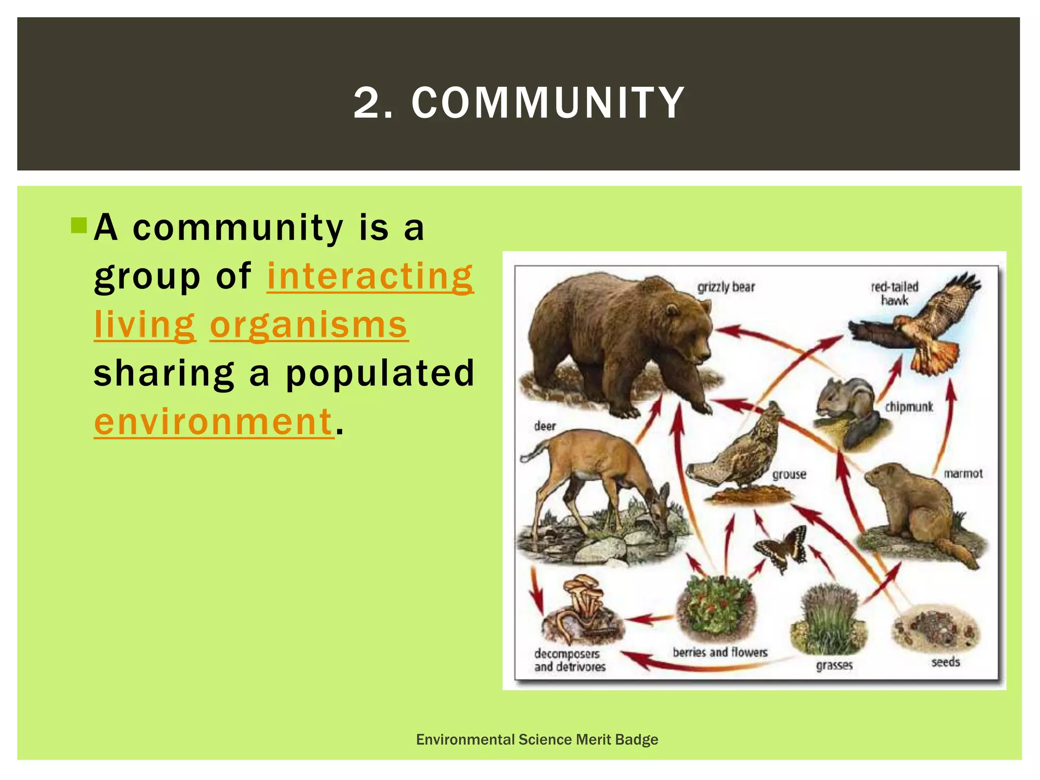 Environmental Science Merit Badge Boy Scouts by Joel Hebdon, Varsity ...