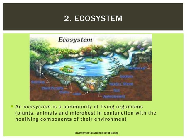 Environmental Science Merit Badge Boy Scouts by Joel Hebdon, Varsity ...