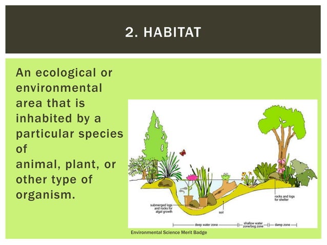 Environmental Science Merit Badge Boy Scouts by Joel Hebdon, Varsity ...