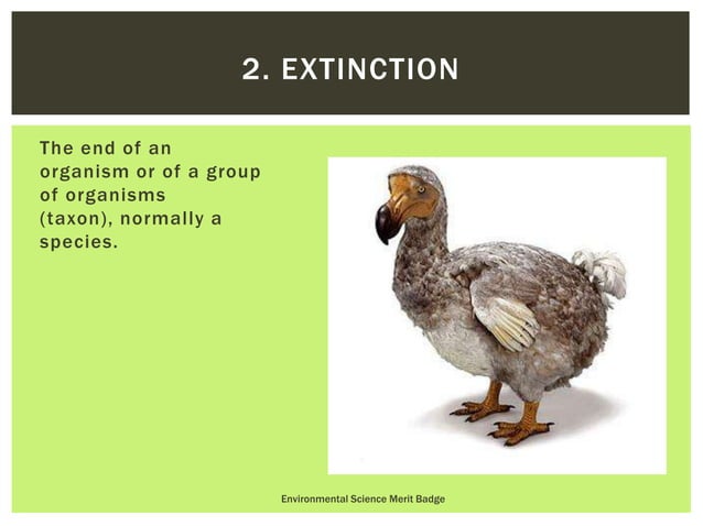 Environmental Science Merit Badge Boy Scouts by Joel Hebdon, Varsity ...