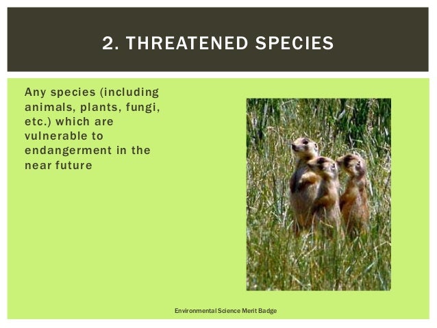 Environmental Science Merit Badge Boy Scouts by Joel Hebdon, Varsity