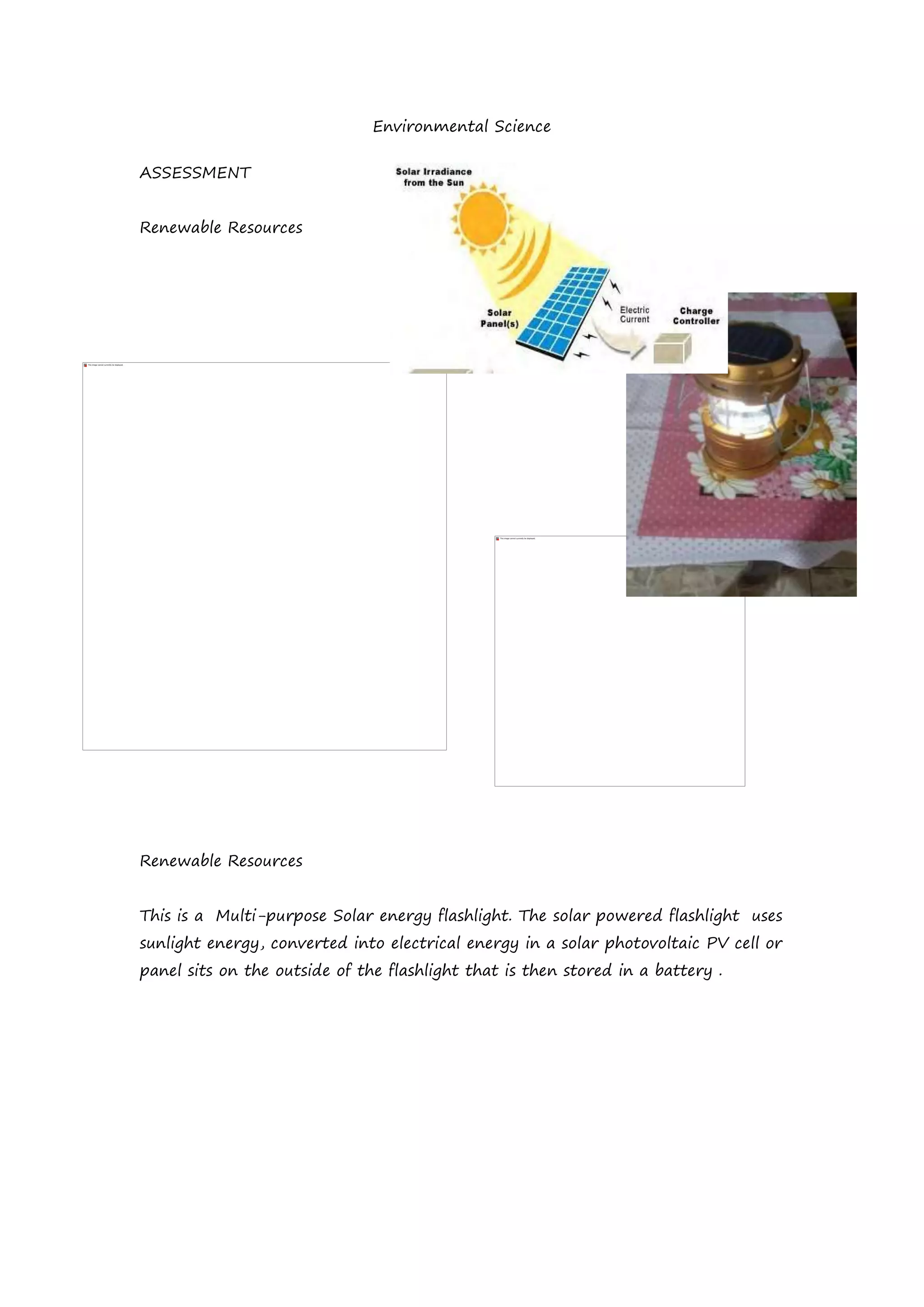 Environmental Science Reflection.docx