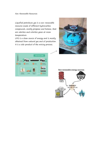 Environmental Science Reflection.docx