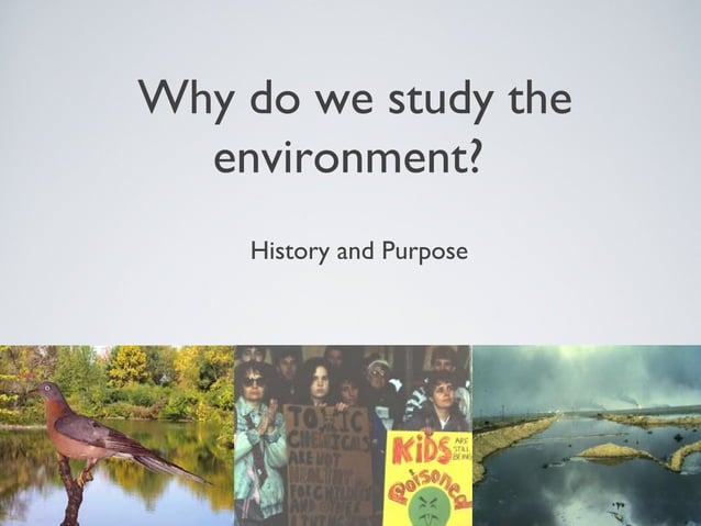 APES Environmental science timeline | PPT | Environment | Science